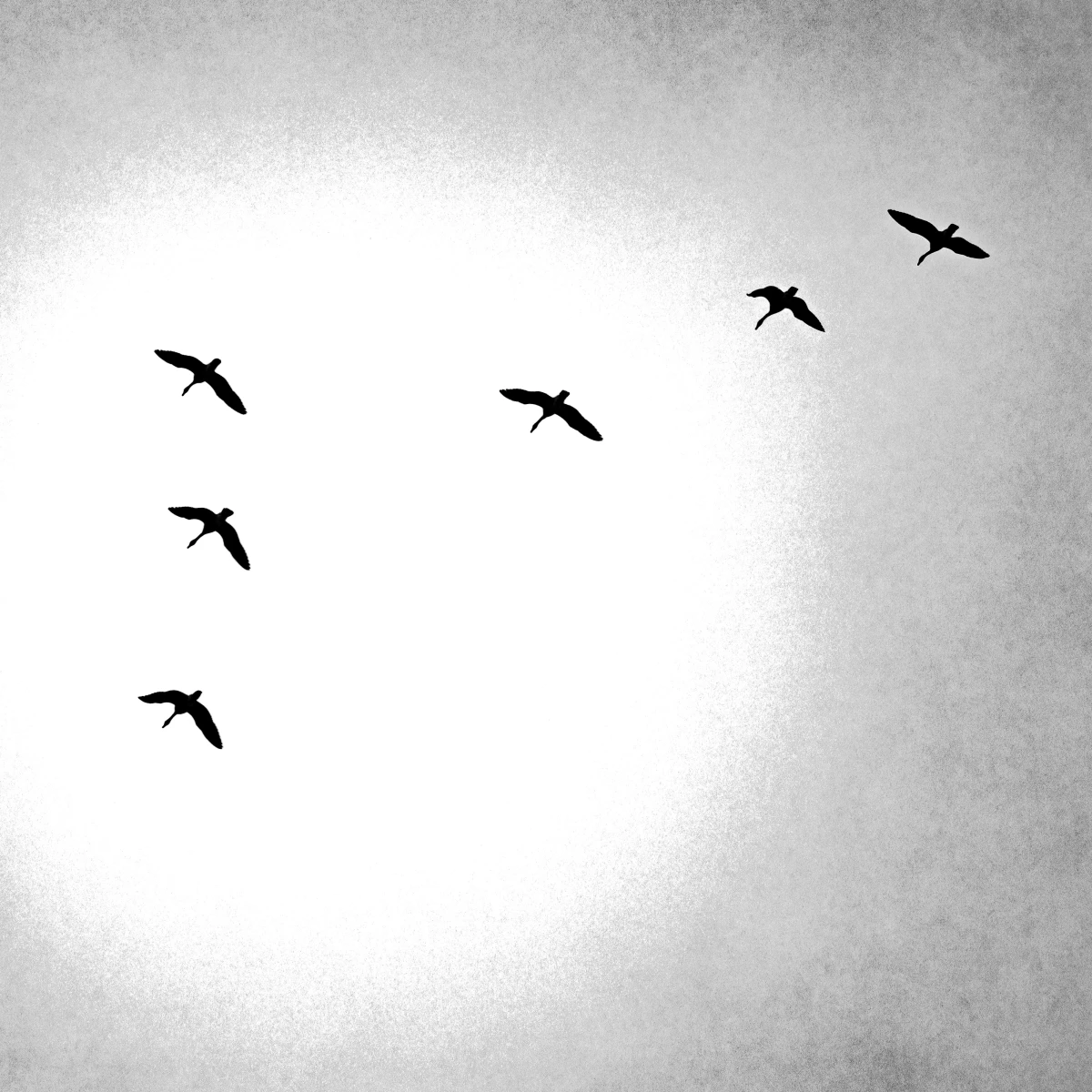 Levi Olson | The Independent Photographer