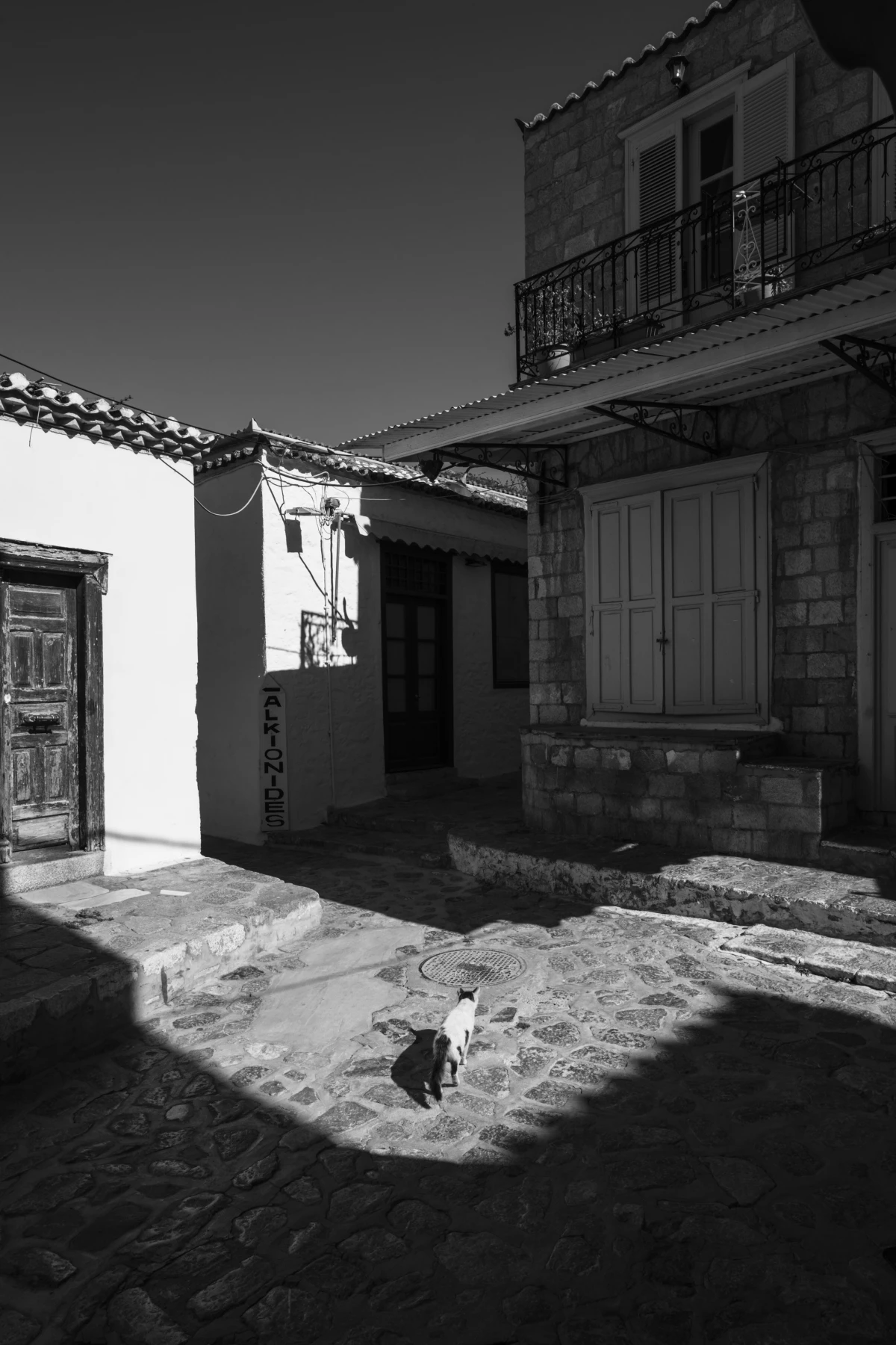 Jane Fitzgerald | The Independent Photographer