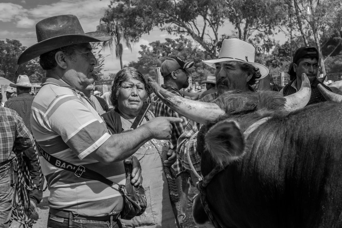 Deborah Cole | The Independent Photographer