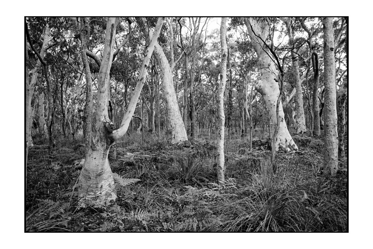 Glenn Porter The Independent Photographer