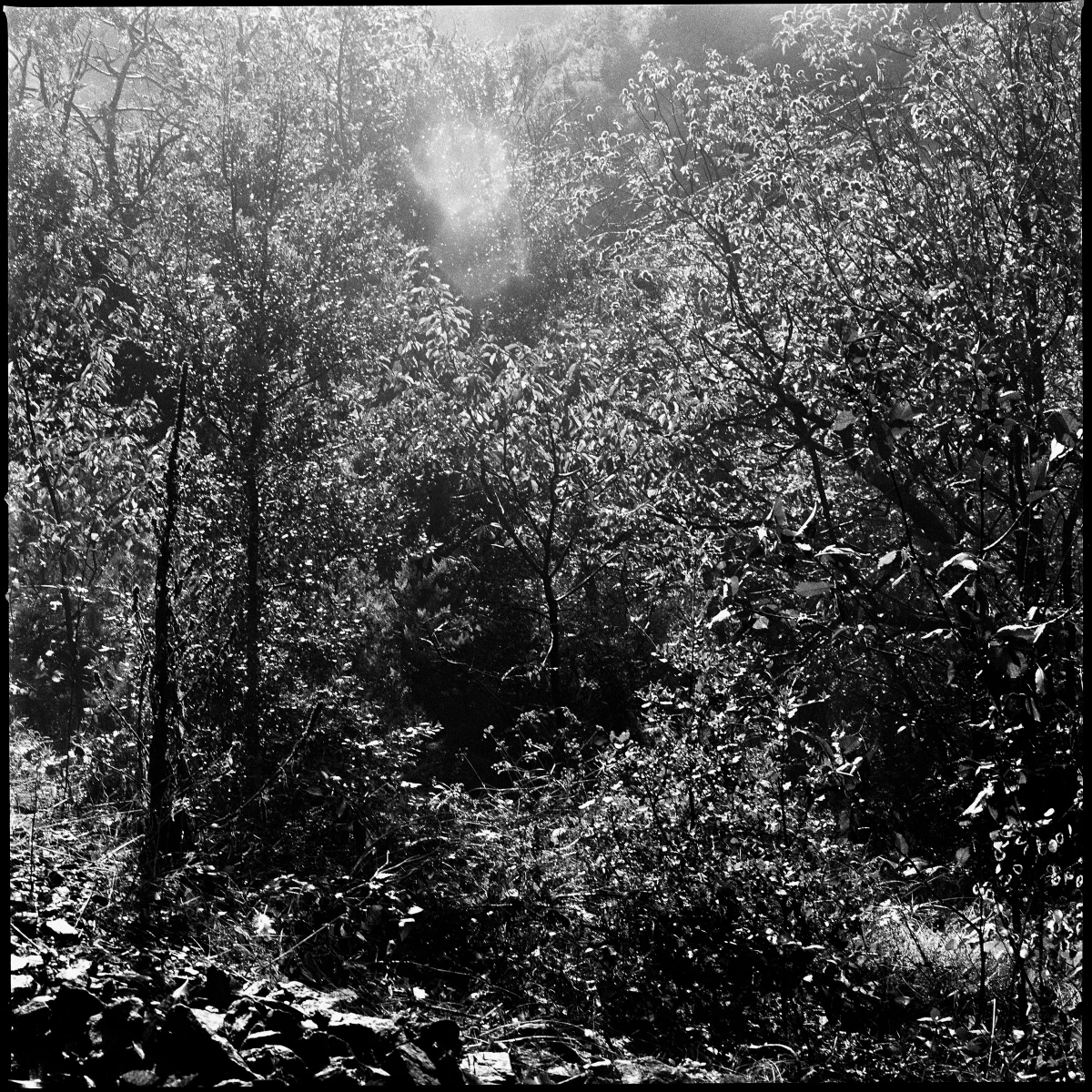 Roger Bucher | The Independent Photographer