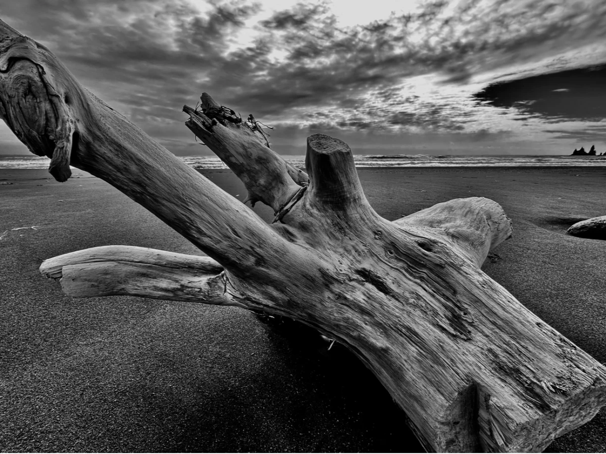 Matt Rice | The Independent Photographer