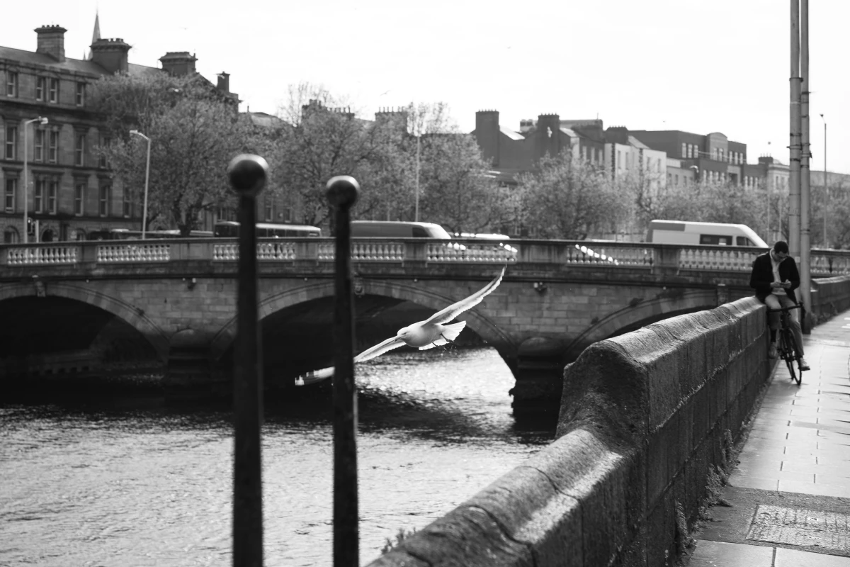 Denise Stancescu | The Independent Photographer