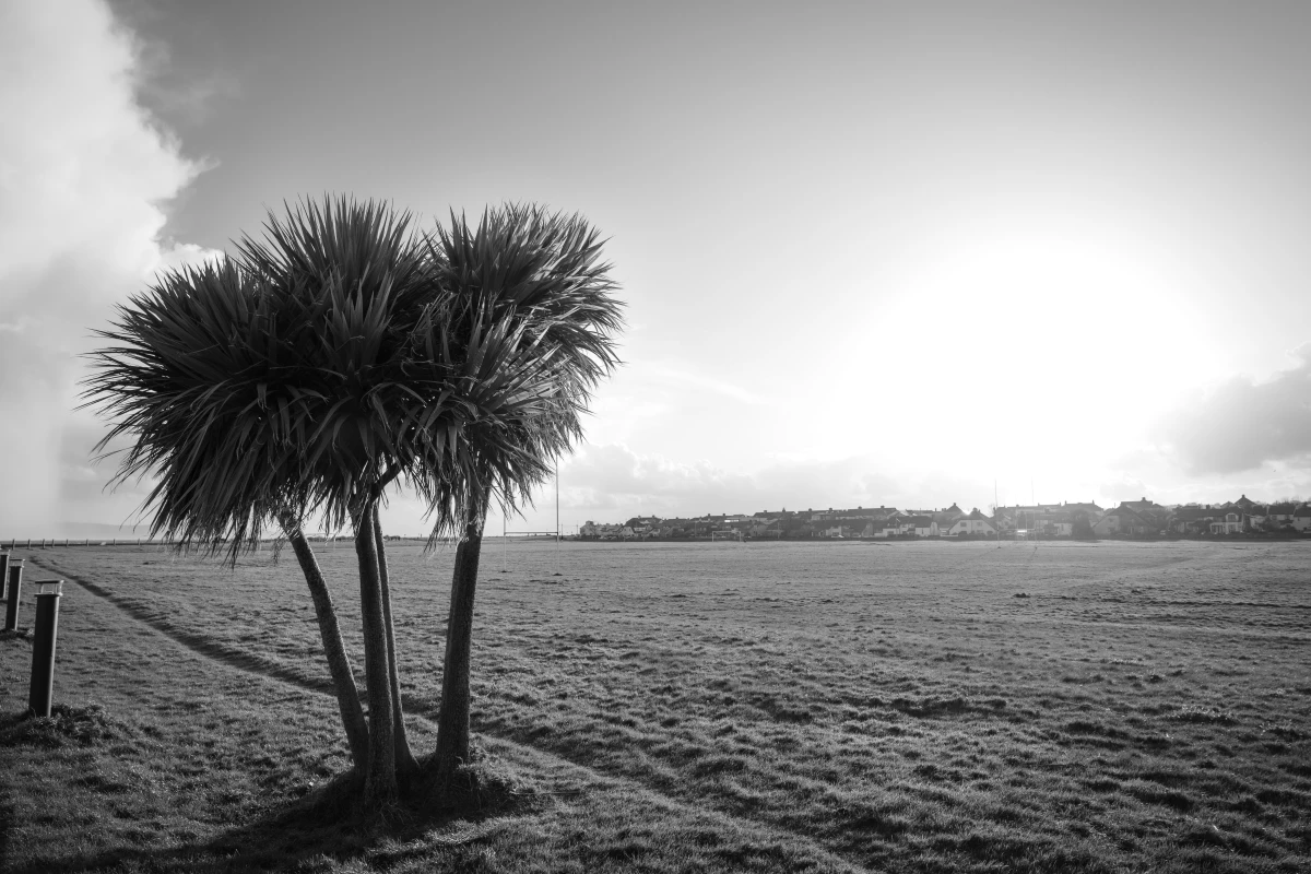 Denise Stancescu | The Independent Photographer