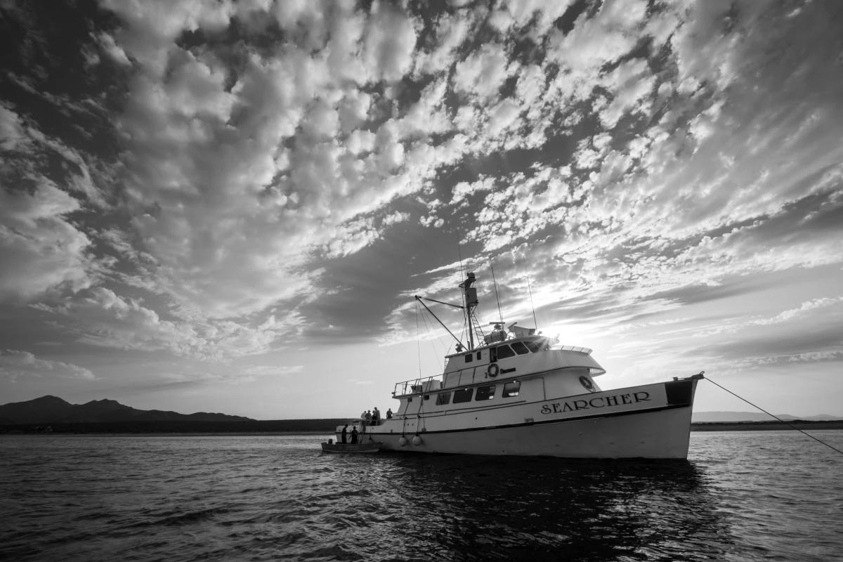 Brian Plant | The Independent Photographer