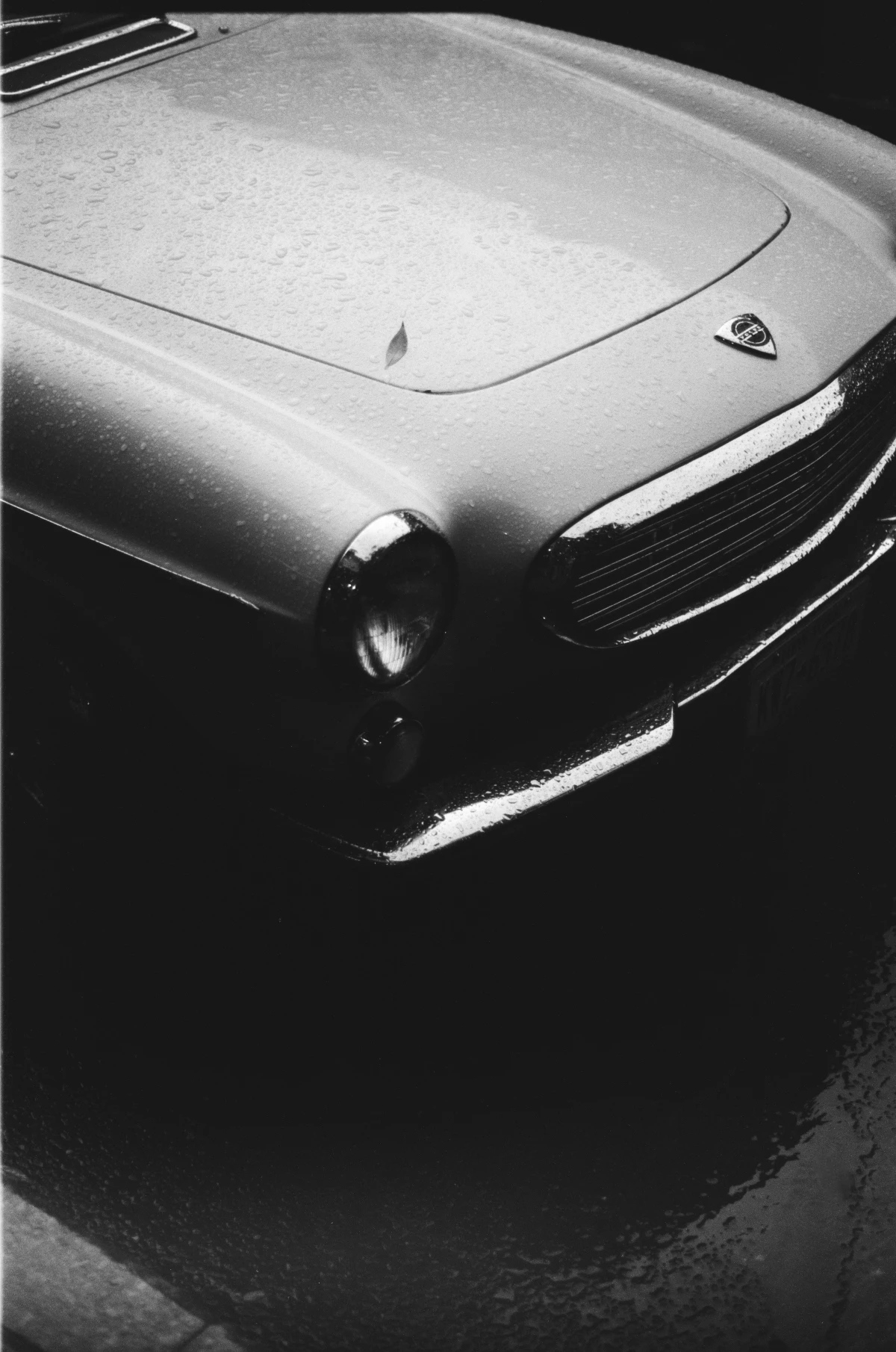 OMAR ALY | The Independent Photographer