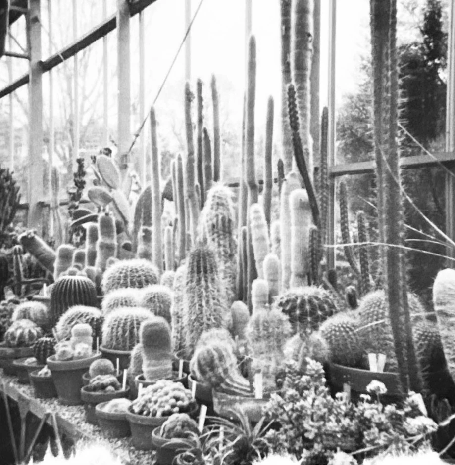 Charlie Pascoe | The Independent Photographer