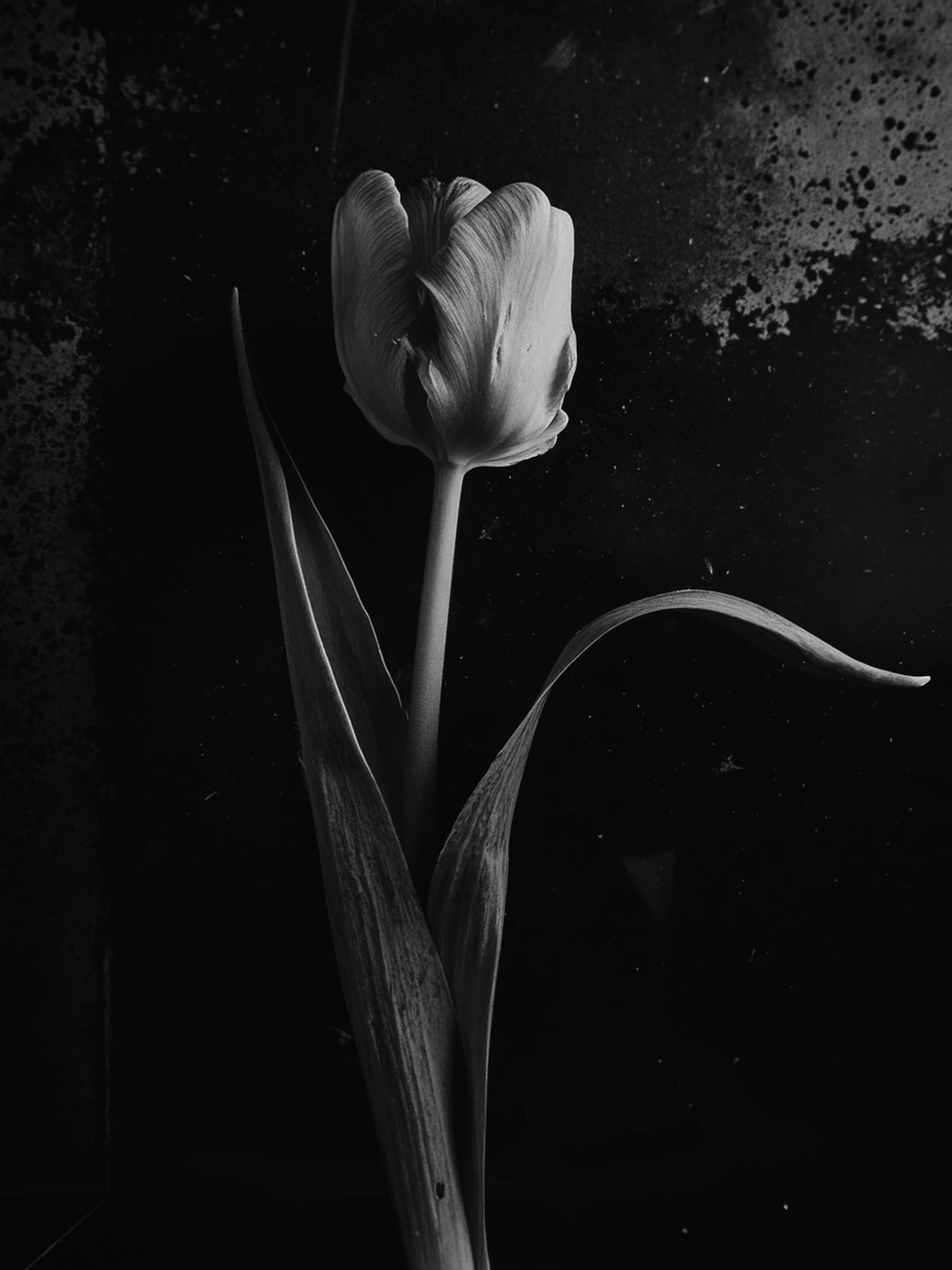 cheuk wing cheung | The Independent Photographer