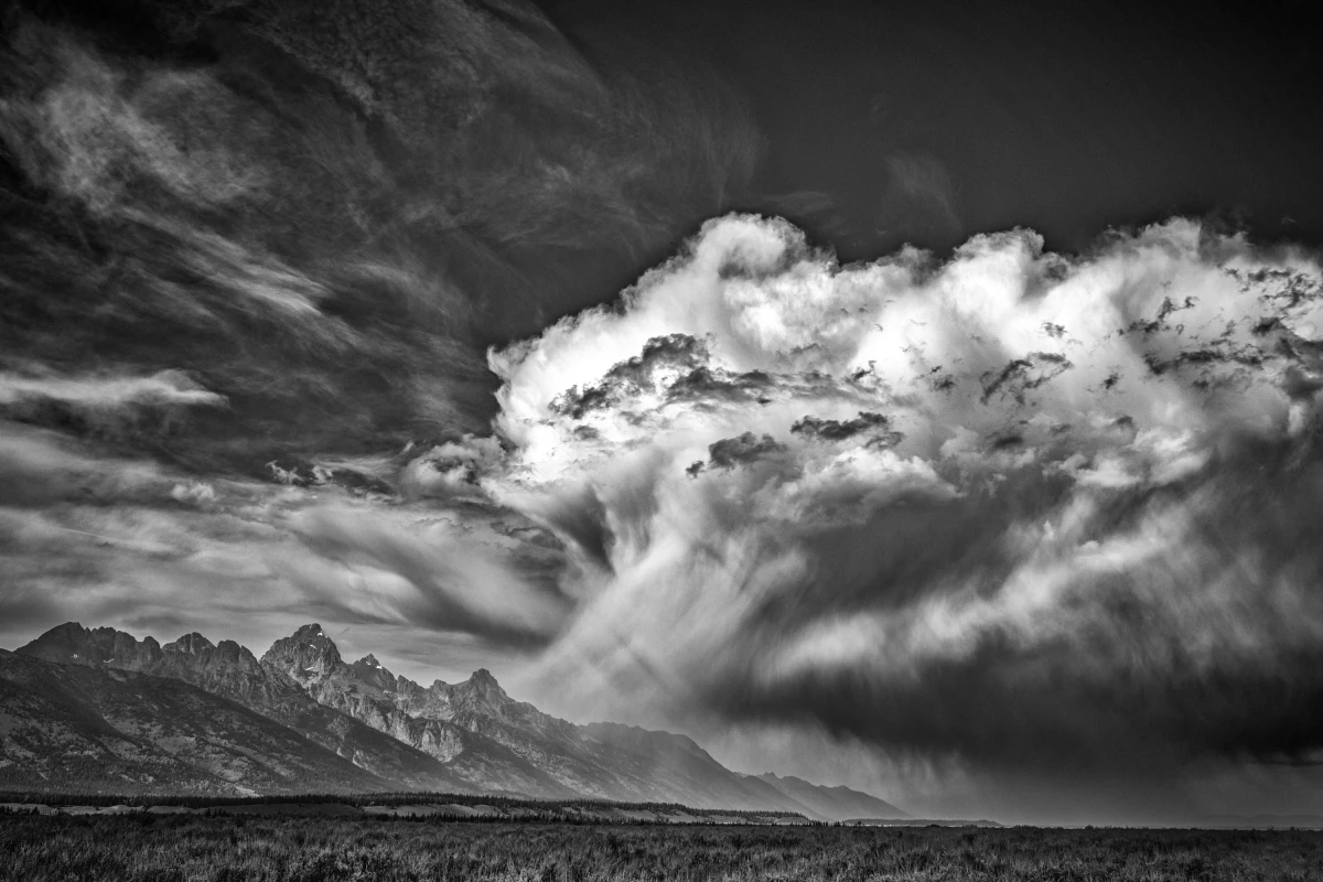 John Buckley | The Independent Photographer