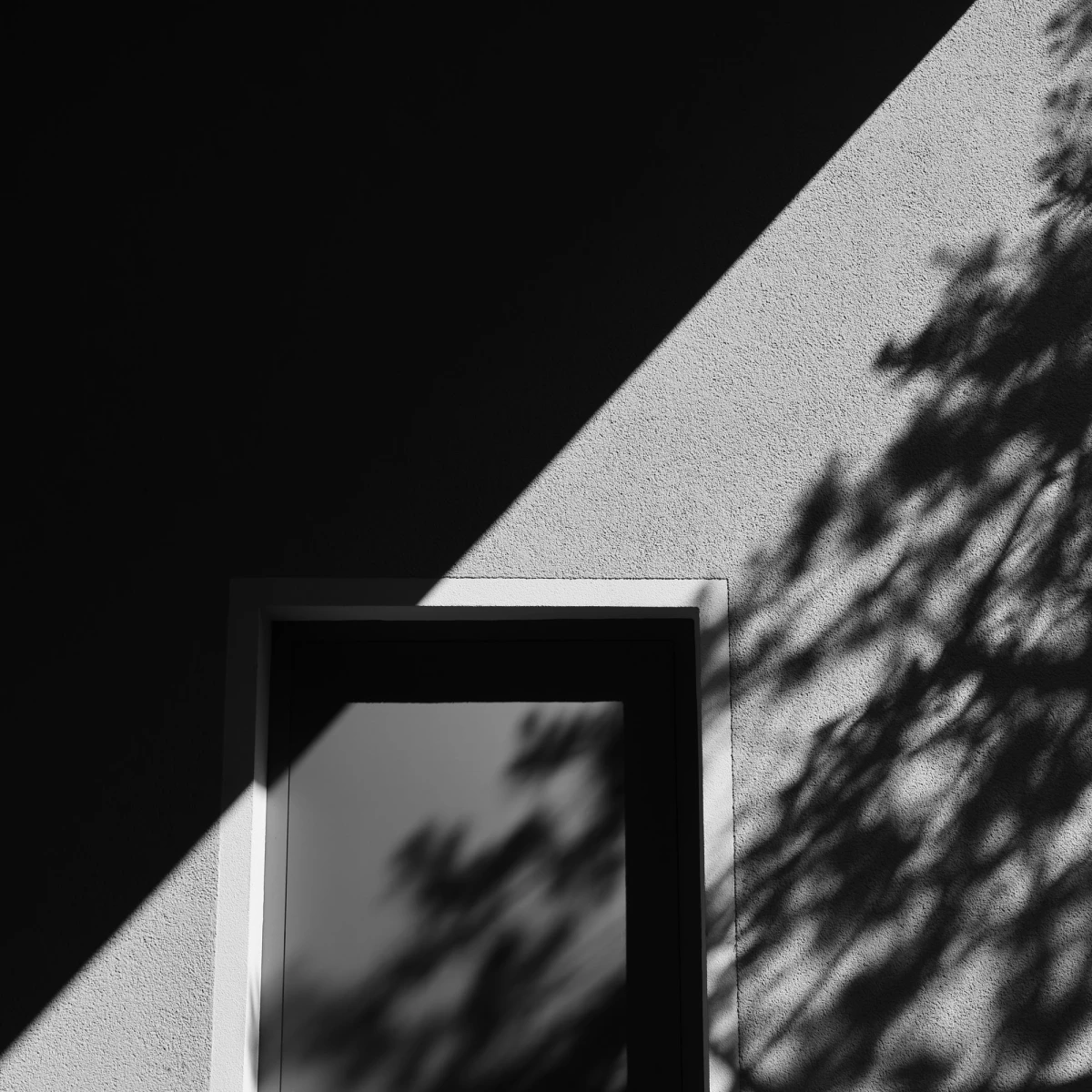 Inessa Morisot | The Independent Photographer