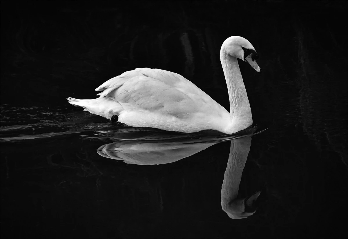 martha Morgan | The Independent Photographer