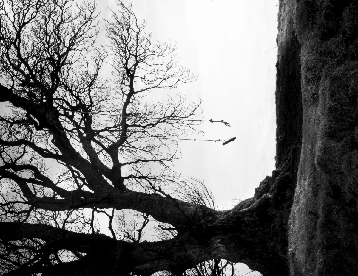 Adam Boyd | The Independent Photographer