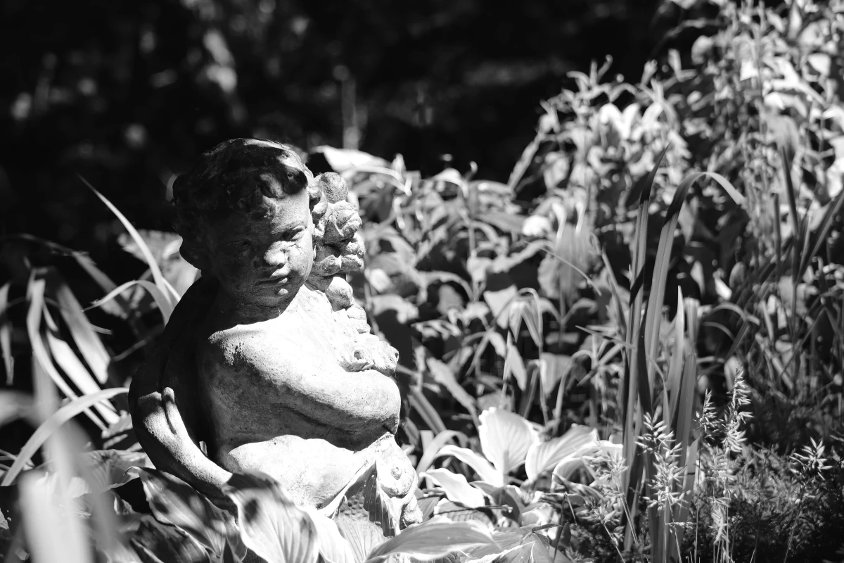 Hannah Levin | The Independent Photographer