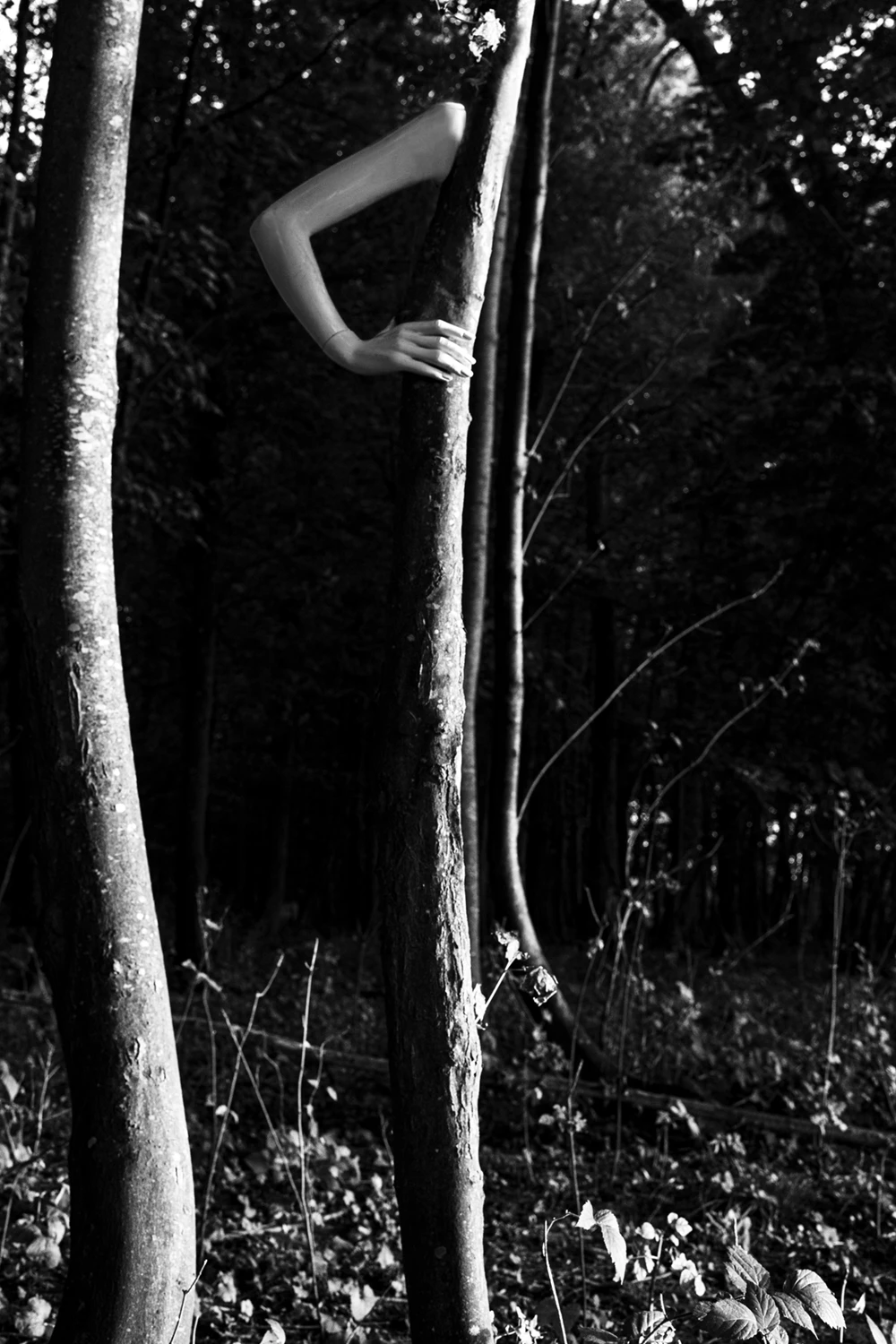 Julianne Rose | The Independent Photographer