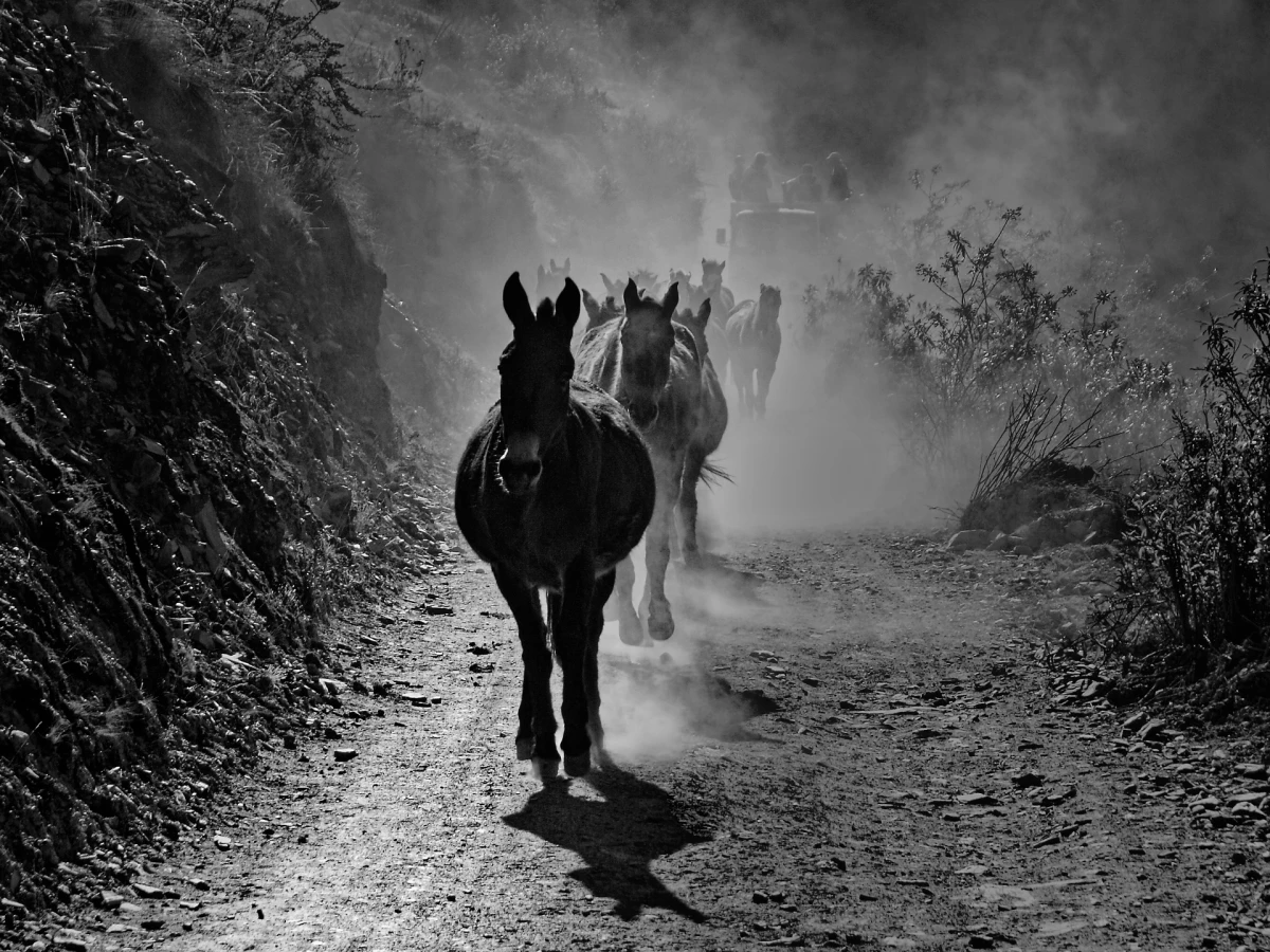 Benoit Dupuy | The Independent Photographer