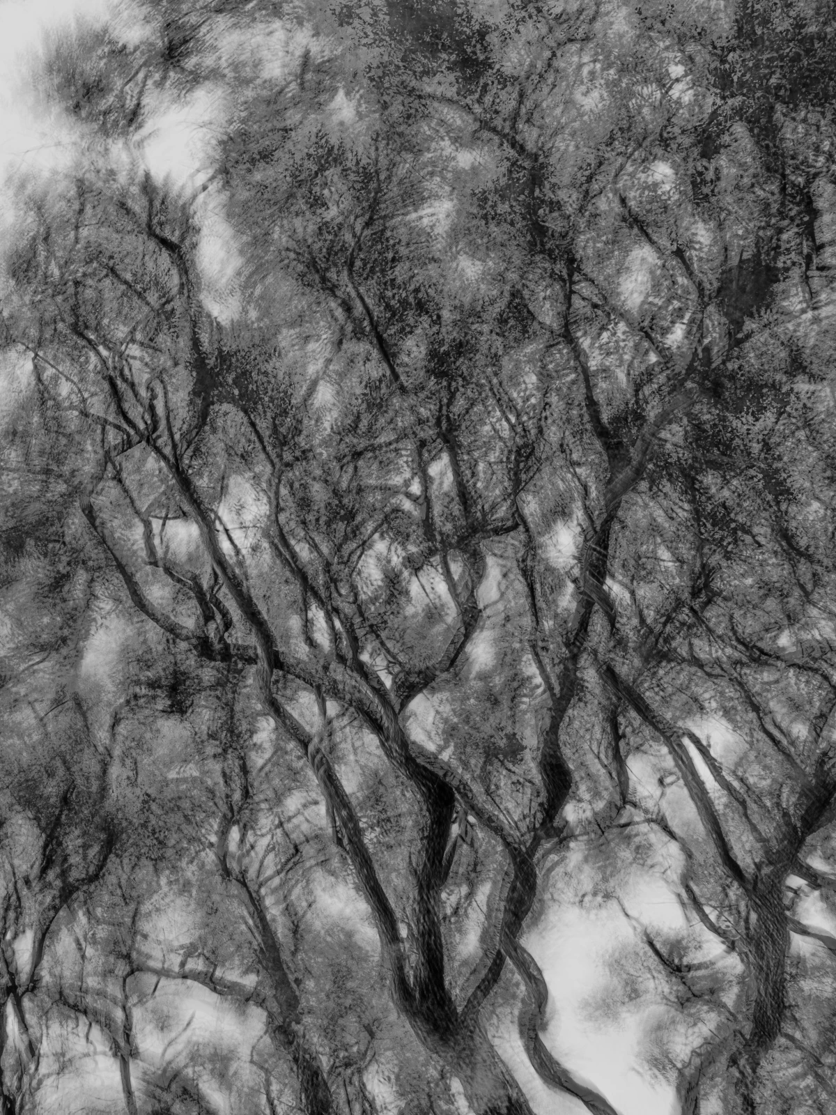 Jos van Dijk | The Independent Photographer