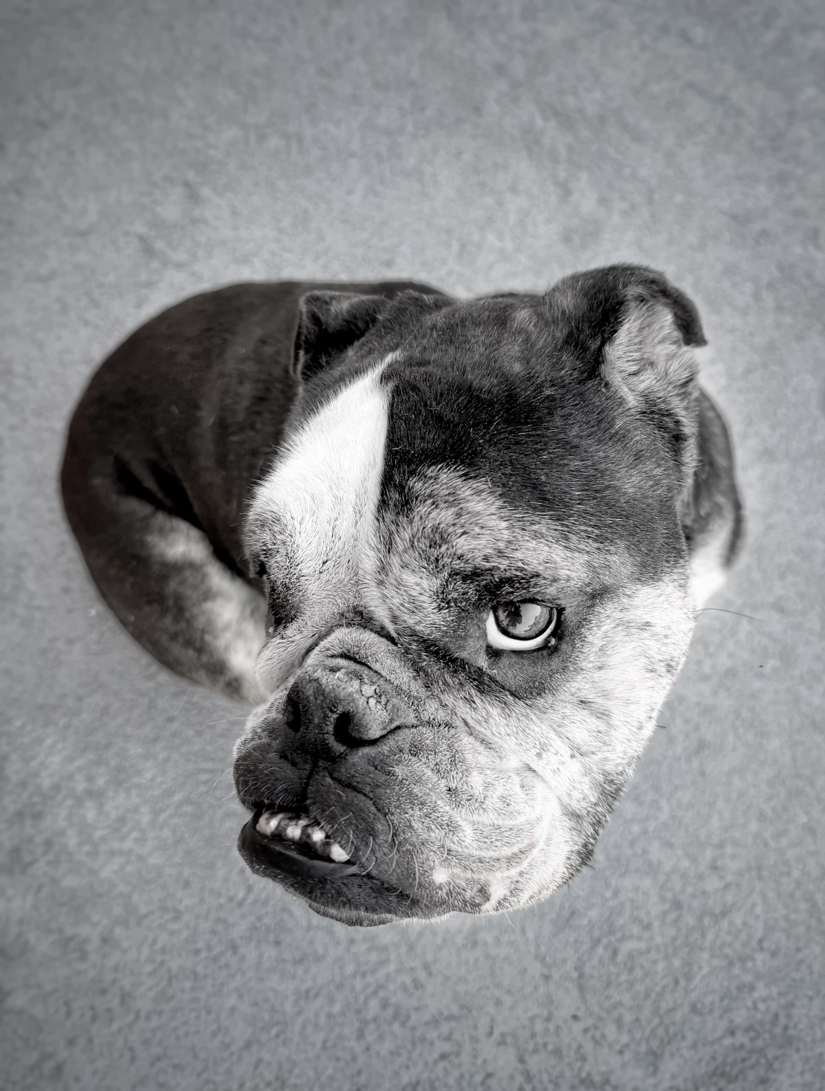 Gregory Williams | The Independent Photographer