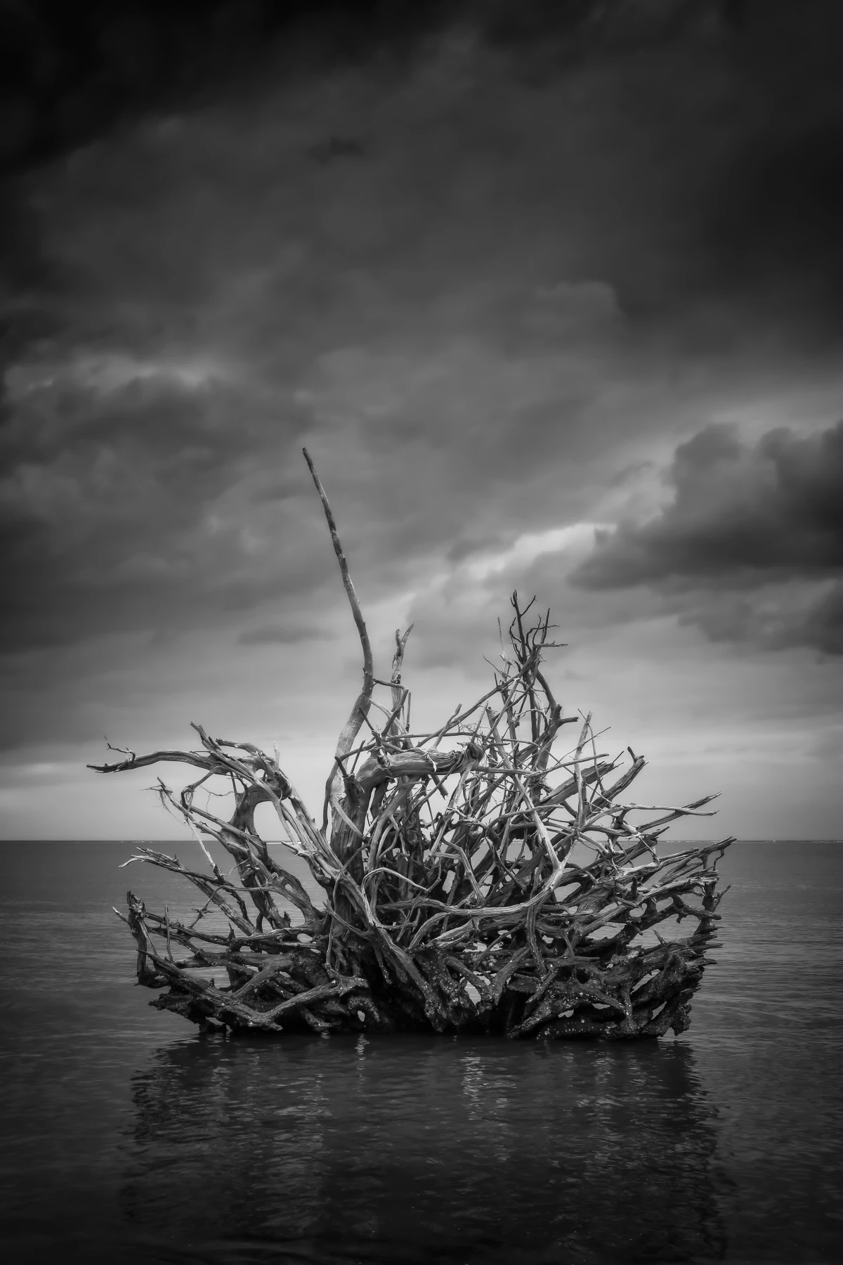 Kelly O'Leary | The Independent Photographer