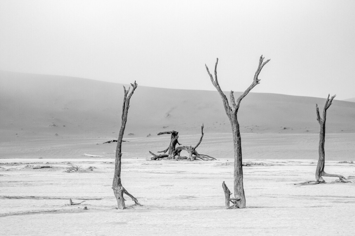 Wayne Simpson | The Independent Photographer