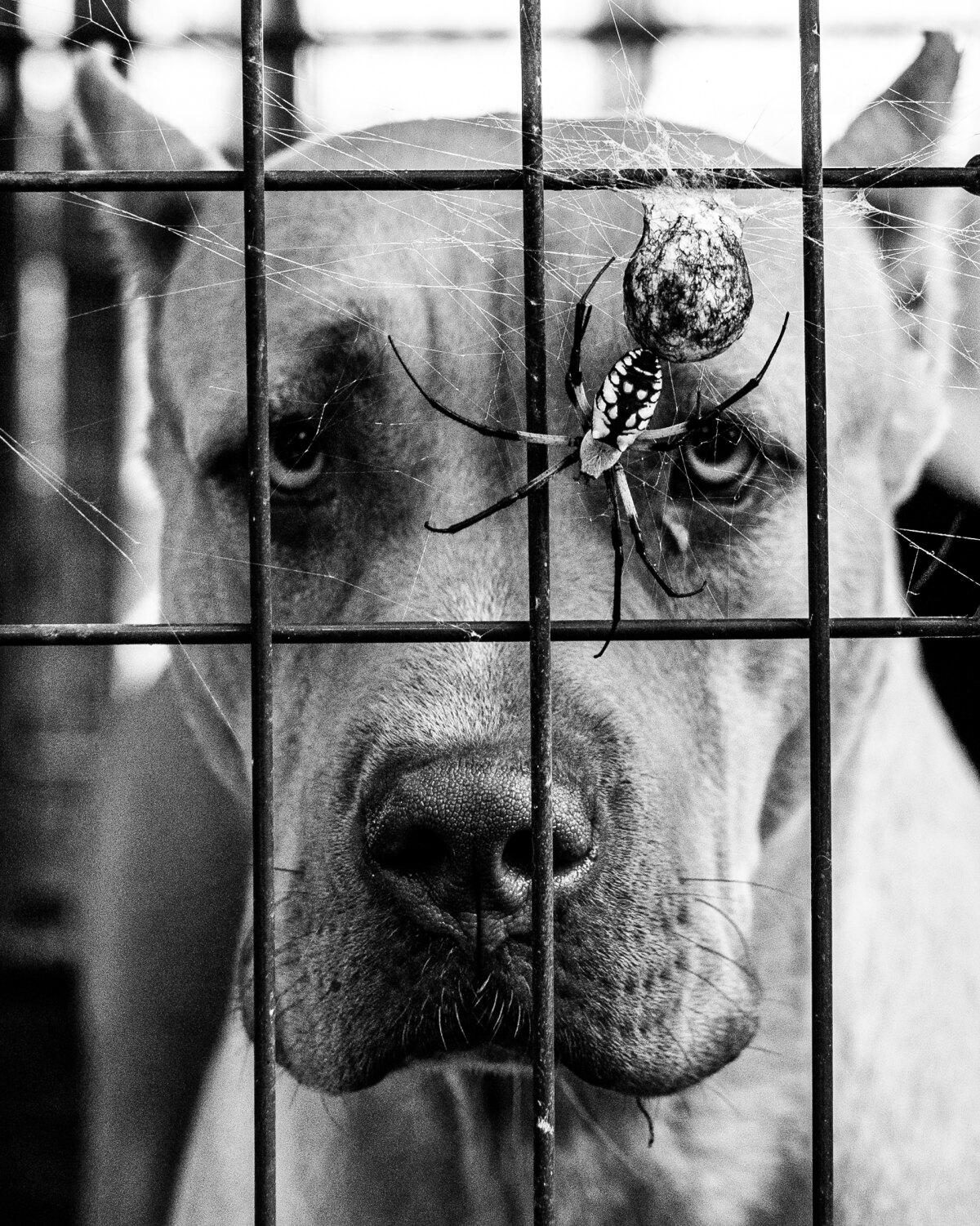 David Taffet | The Independent Photographer