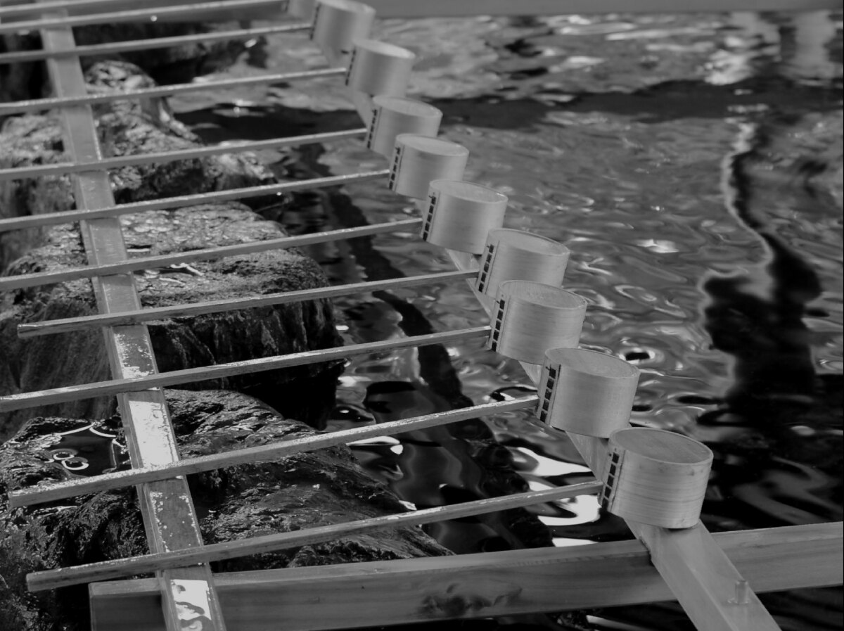 Lisa Joseph | The Independent Photographer