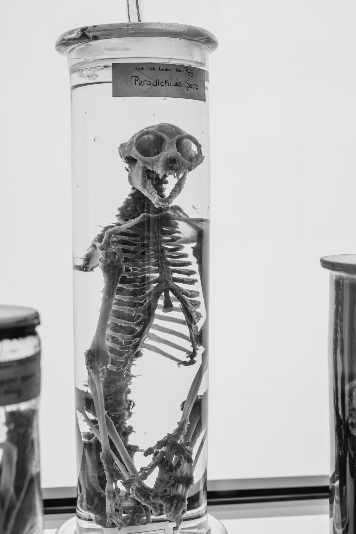 Adrian Alexander | The Independent Photographer