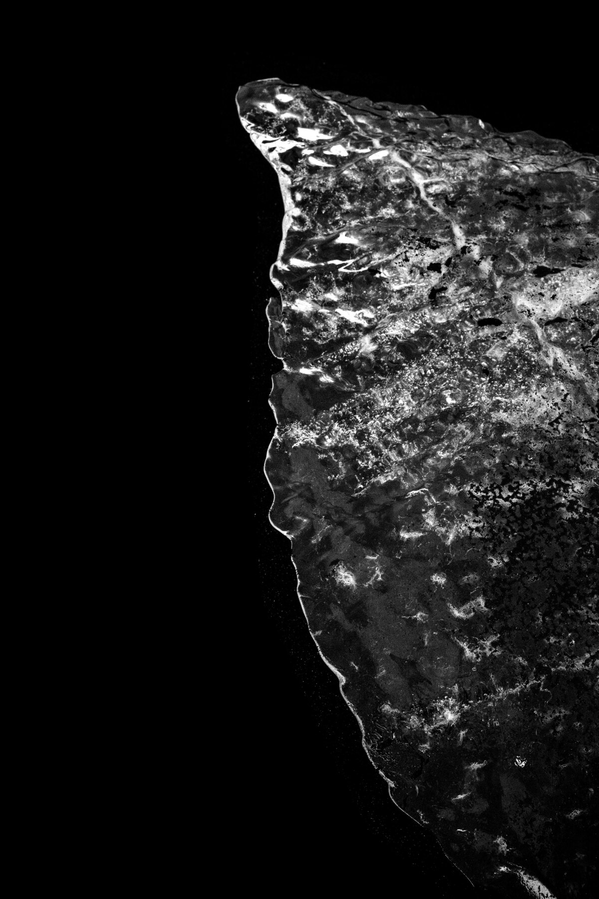 Adrian Alexander | The Independent Photographer