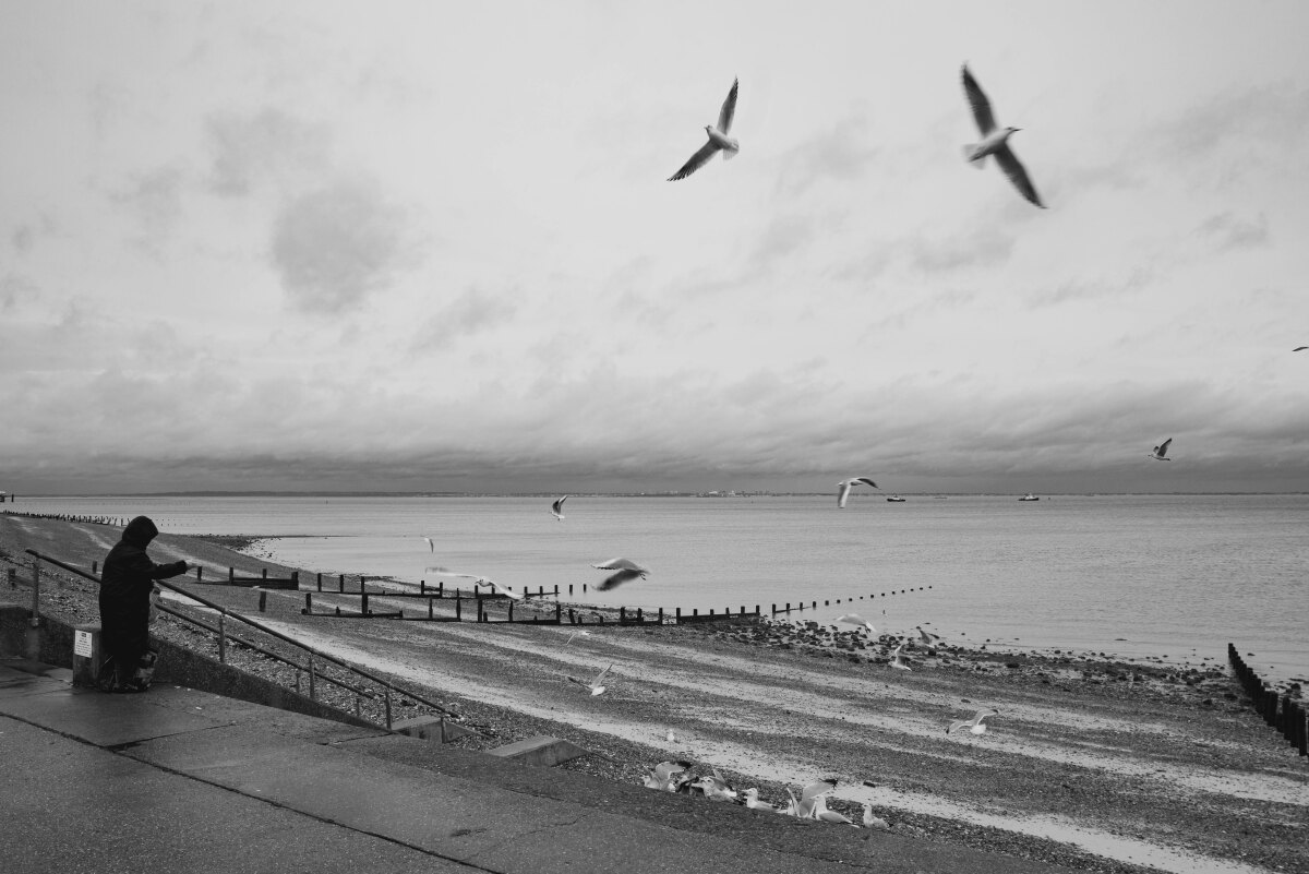 Fraser Burrows | The Independent Photographer