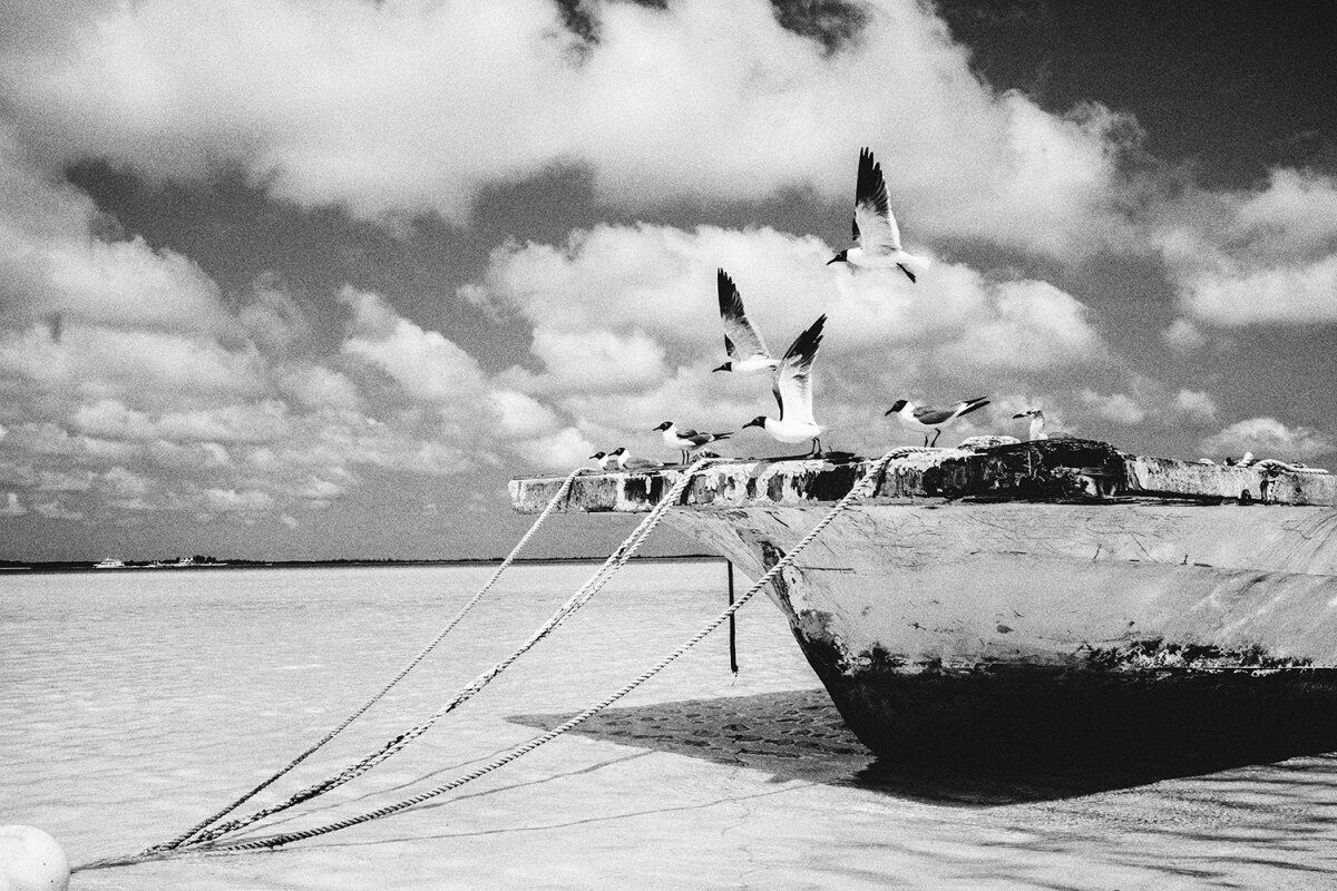 Blake Burton | The Independent Photographer