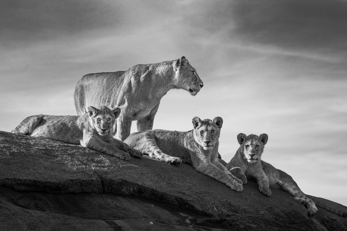 Vrinda Bhatnagar | The Independent Photographer