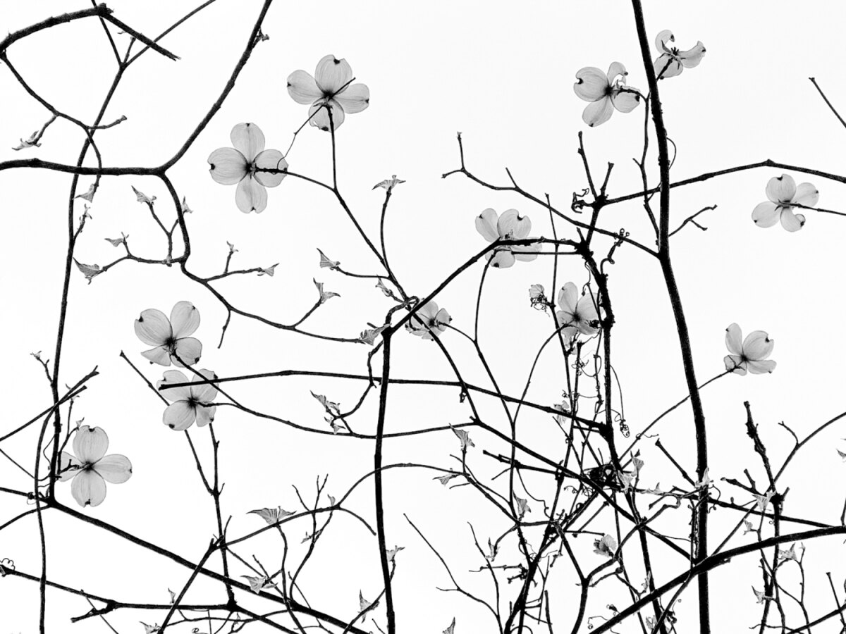 Parvathi Kumar | The Independent Photographer