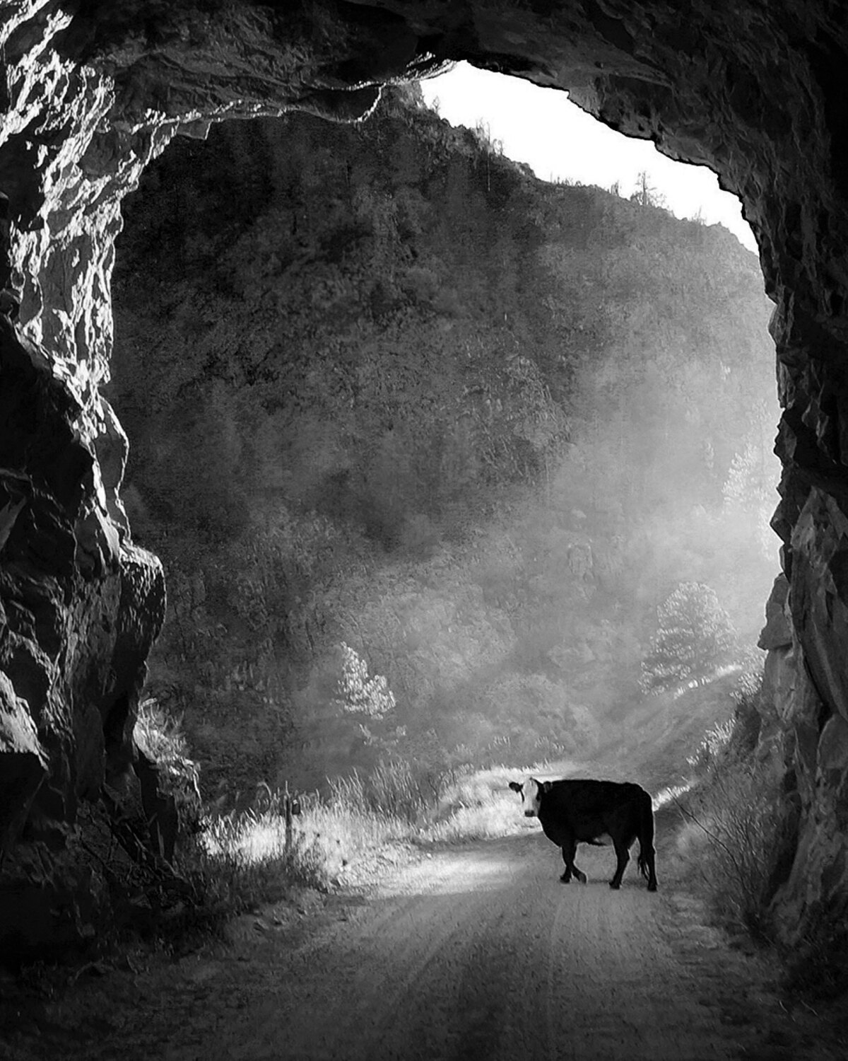 William Goodwin | The Independent Photographer