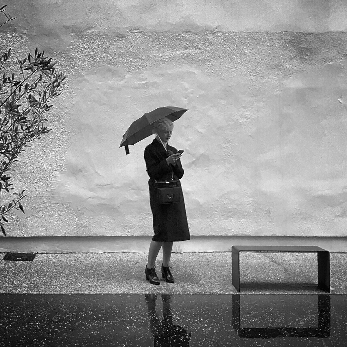 Victor Necho | The Independent Photographer