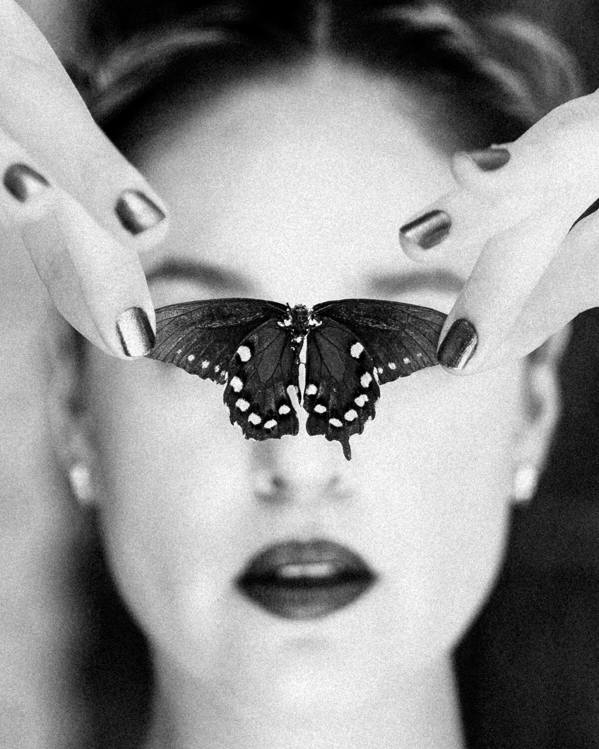 David Taffet | The Independent Photographer