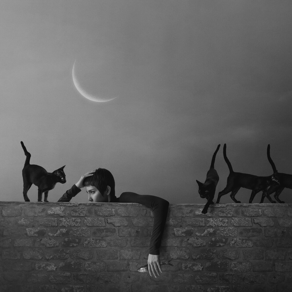 Hardijanto Budiman | The Independent Photographer