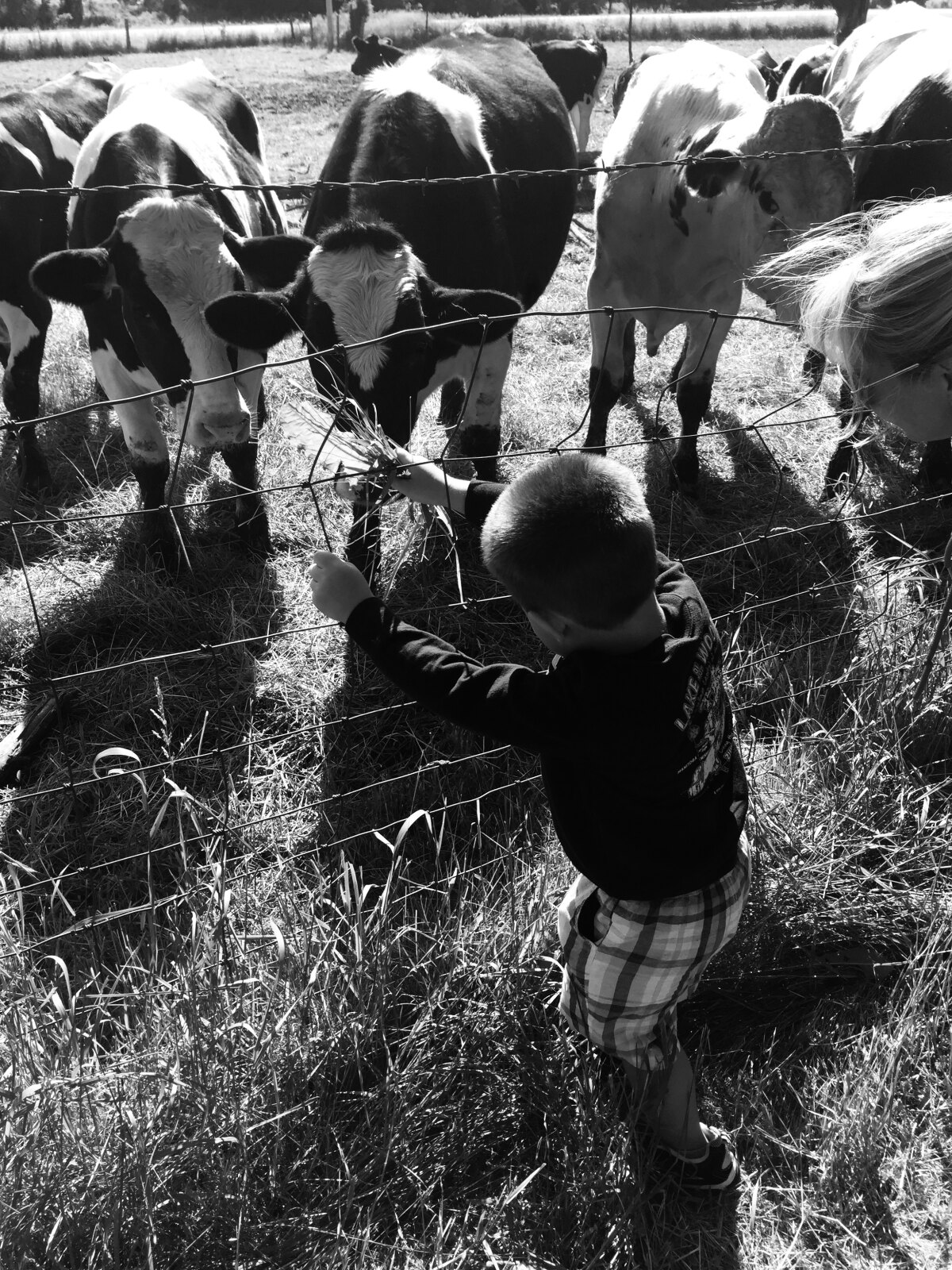 Patrick Caldwell | The Independent Photographer