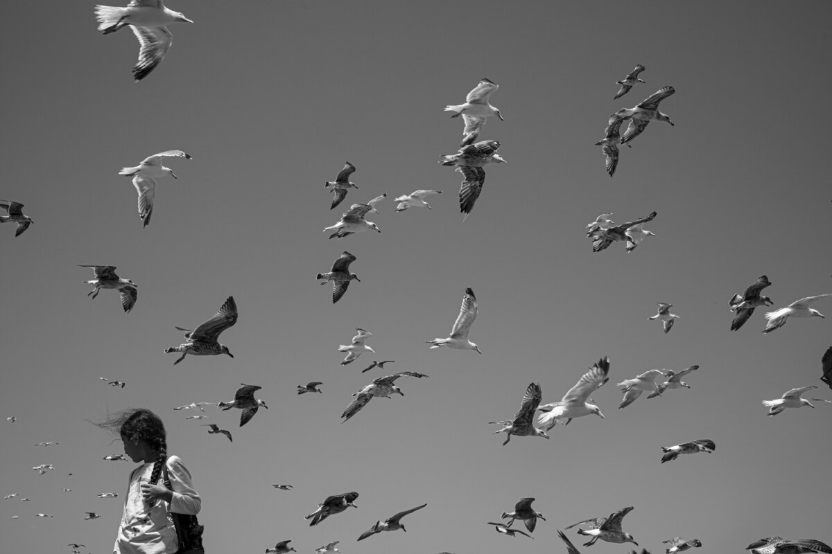 Susanne Grether | The Independent Photographer