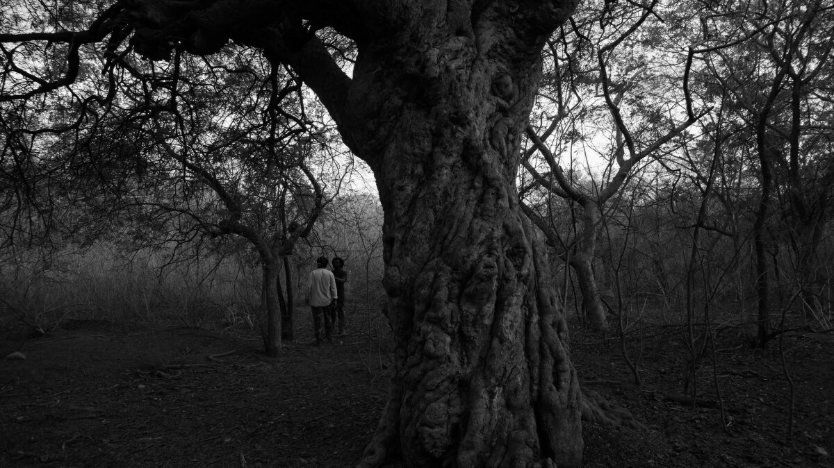 Nikhil Mohan P | The Independent Photographer