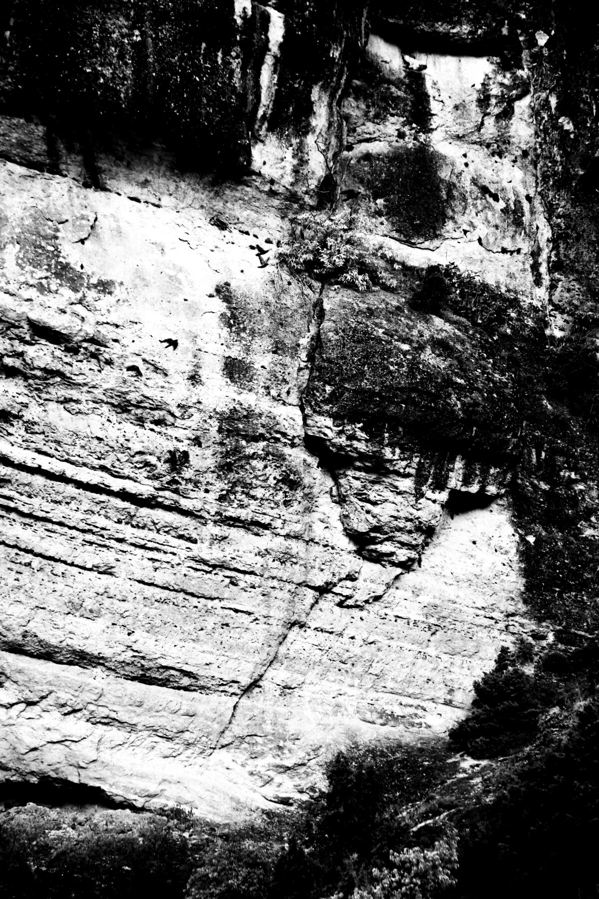 Shiyi Yao | The Independent Photographer