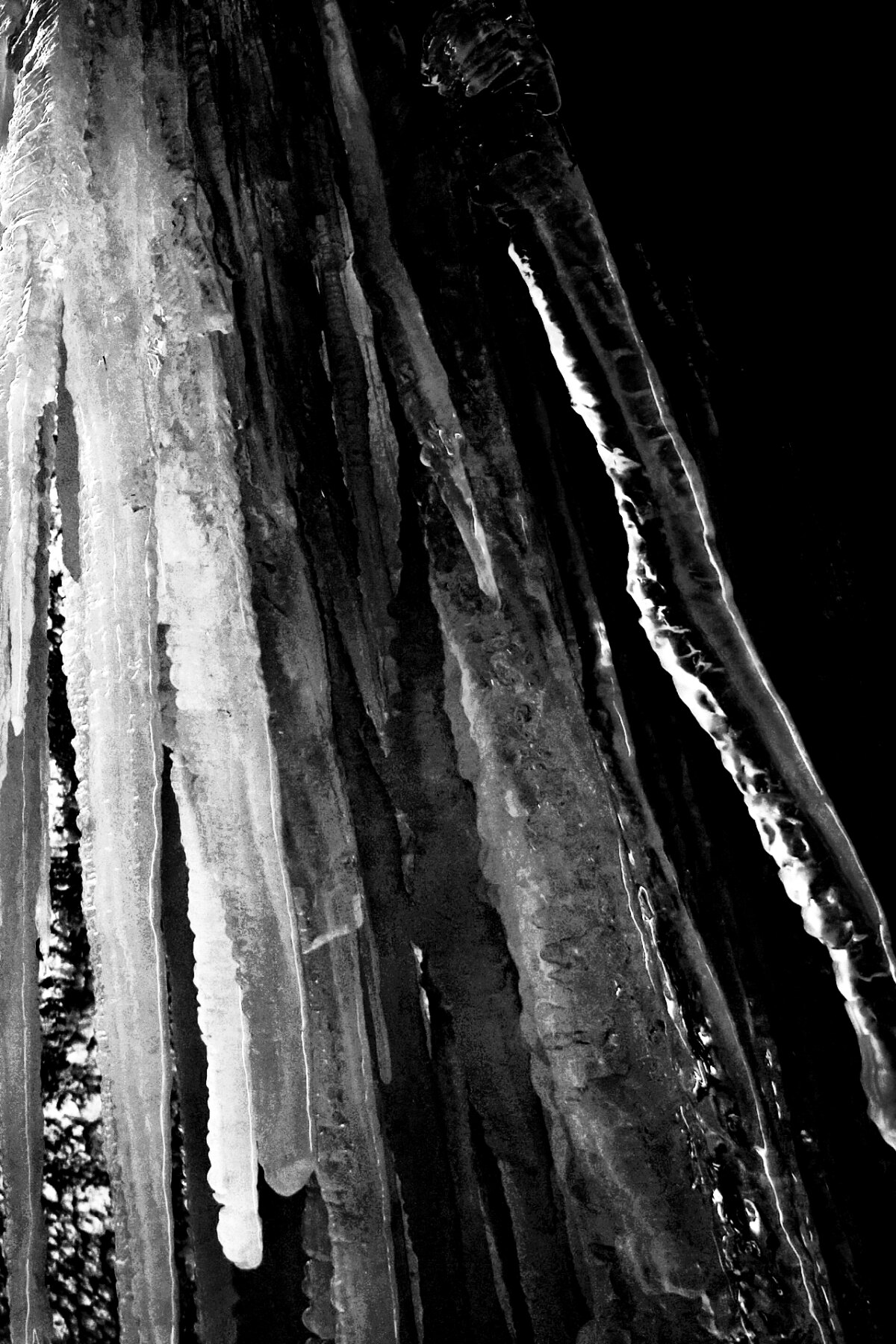 Shiyi Yao | The Independent Photographer