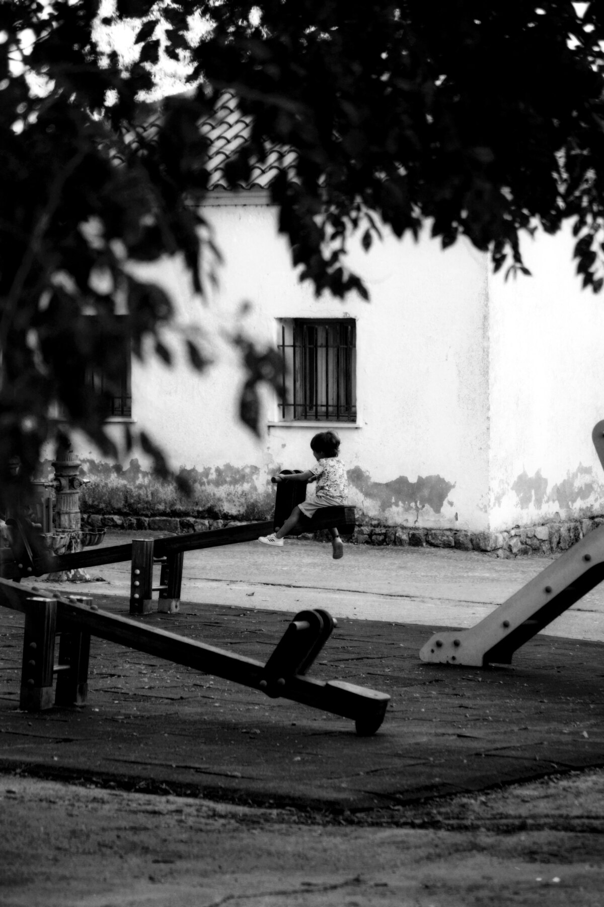 Shiyi Yao | The Independent Photographer