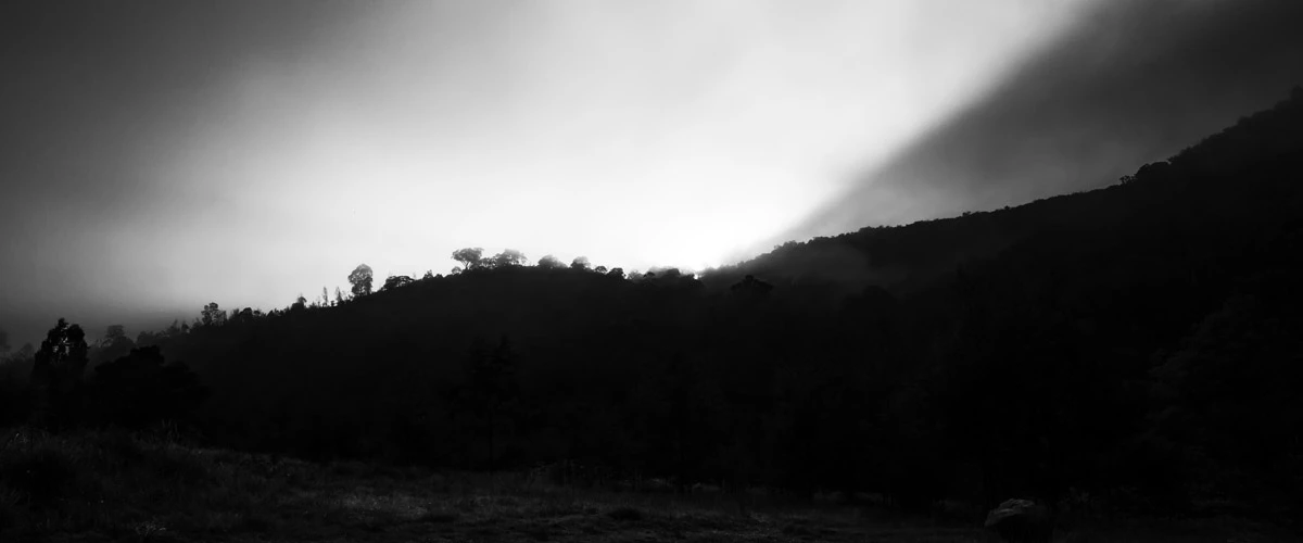 Tony Barbour | The Independent Photographer