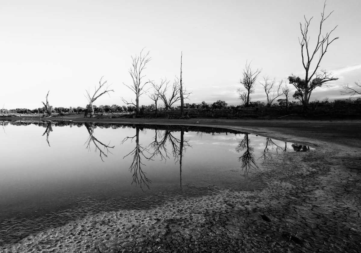 Tony Barbour | The Independent Photographer