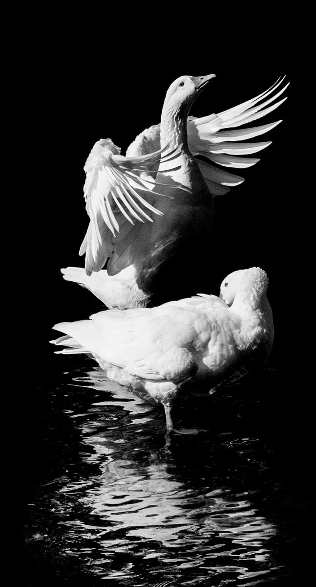 Tony Barbour | The Independent Photographer