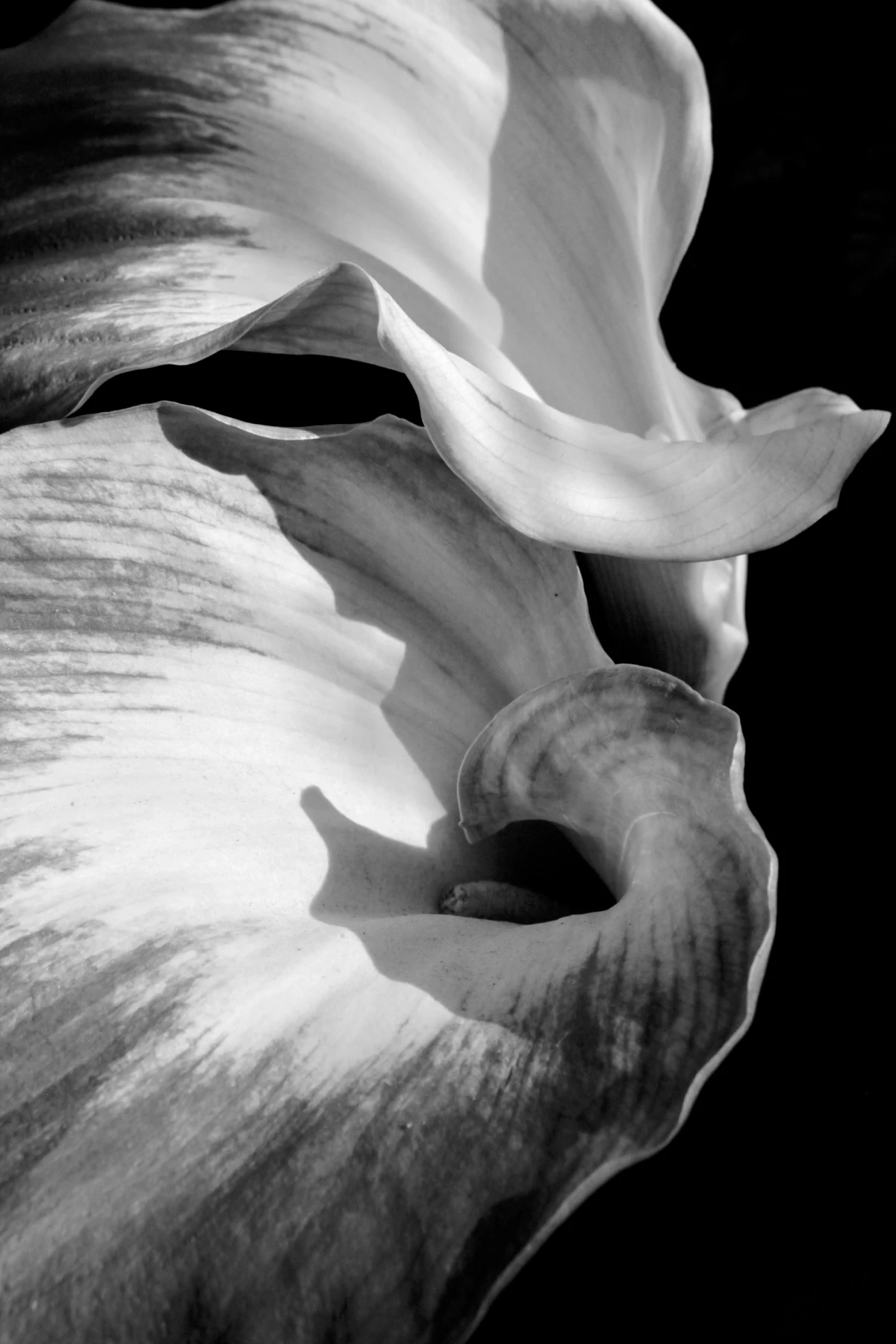 Jennifer Gilmour | The Independent Photographer