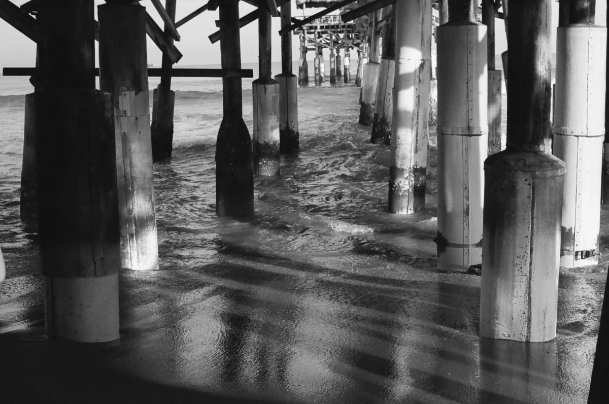 Elena Luneva | The Independent Photographer