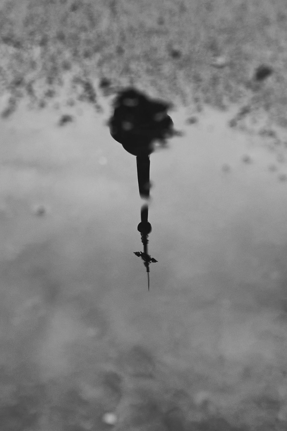 nicolas luna | The Independent Photographer