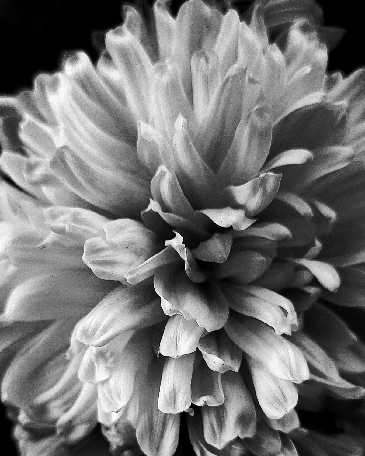 Tamara Allen | The Independent Photographer