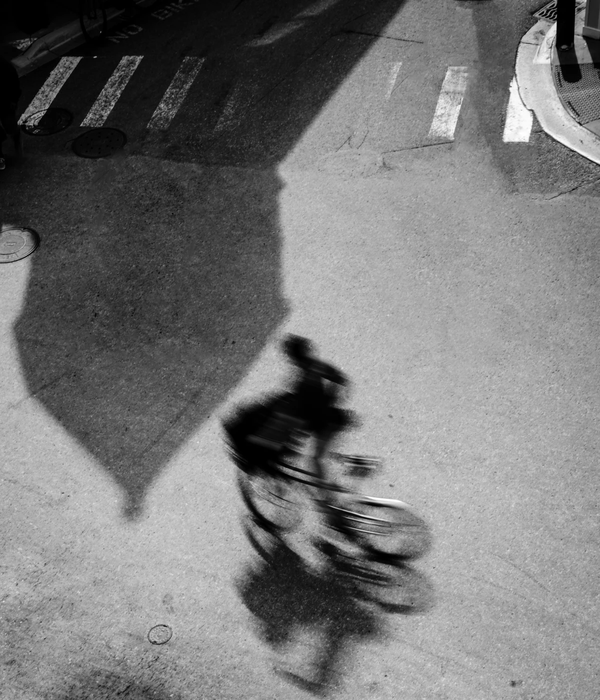 Adam Brophy | The Independent Photographer Adam Brophy | The Independent Photographer