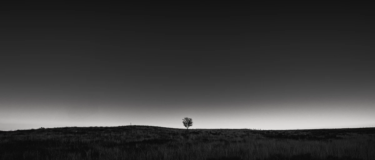 Brian Tilson | The Independent Photographer